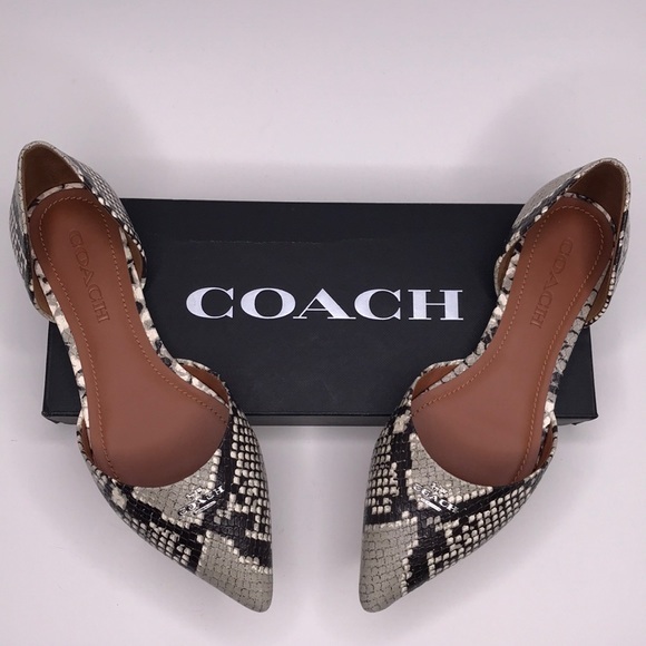 Coach | Shoes | Coach Printed Exotic Pointy Toe Flat Sz 7 | Poshmark